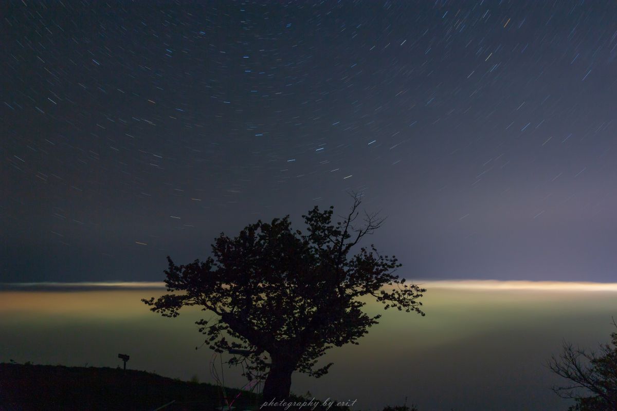 cherry at night | GANREF