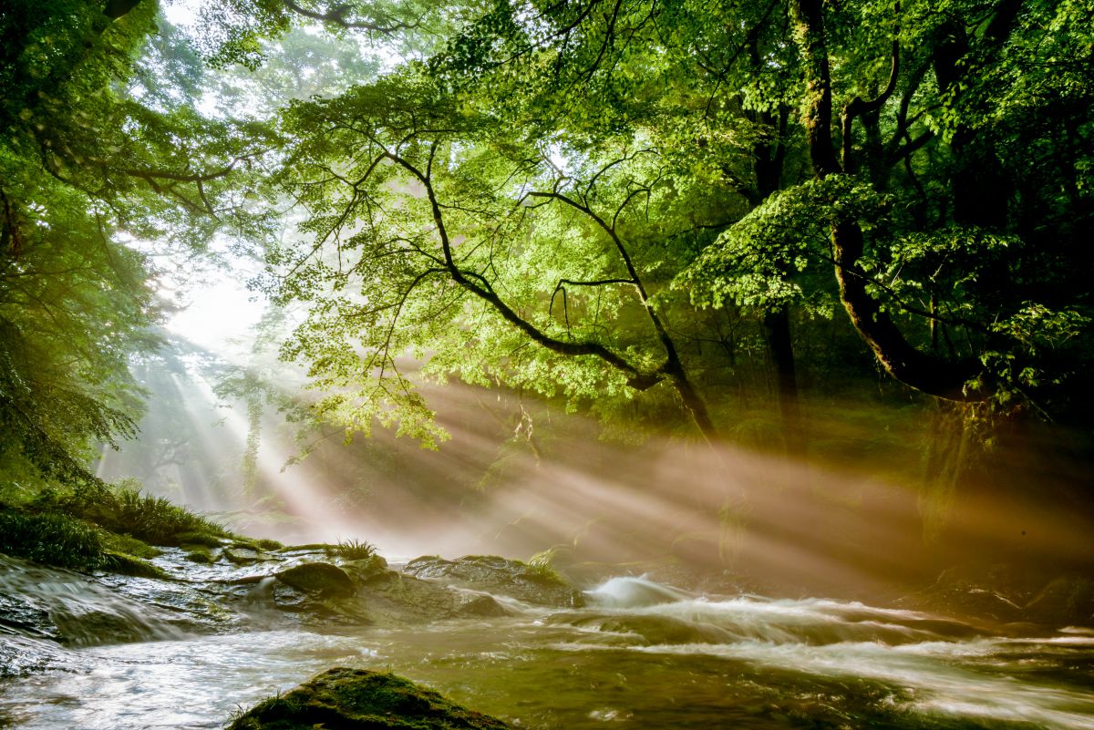 20190802菊池渓谷03 | GANREF