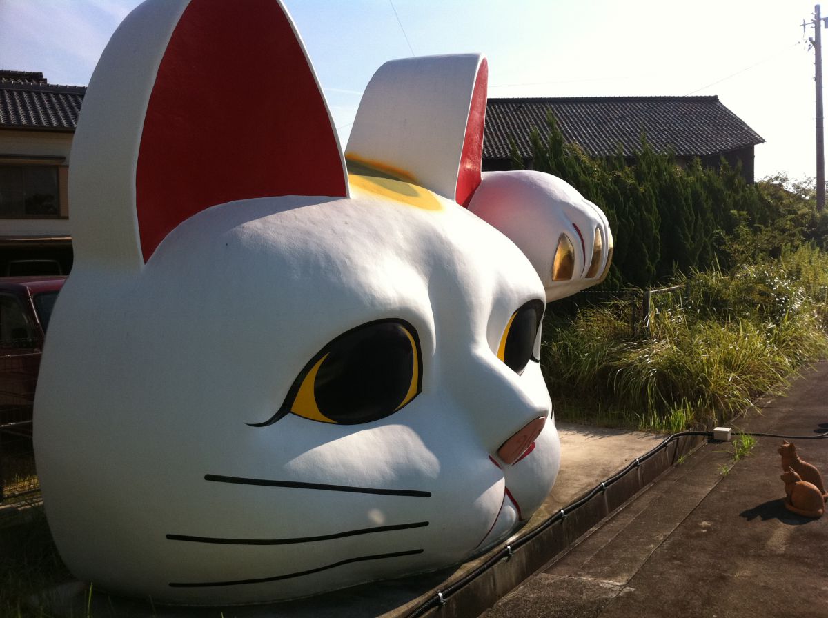 Money Key Cat | GANREF