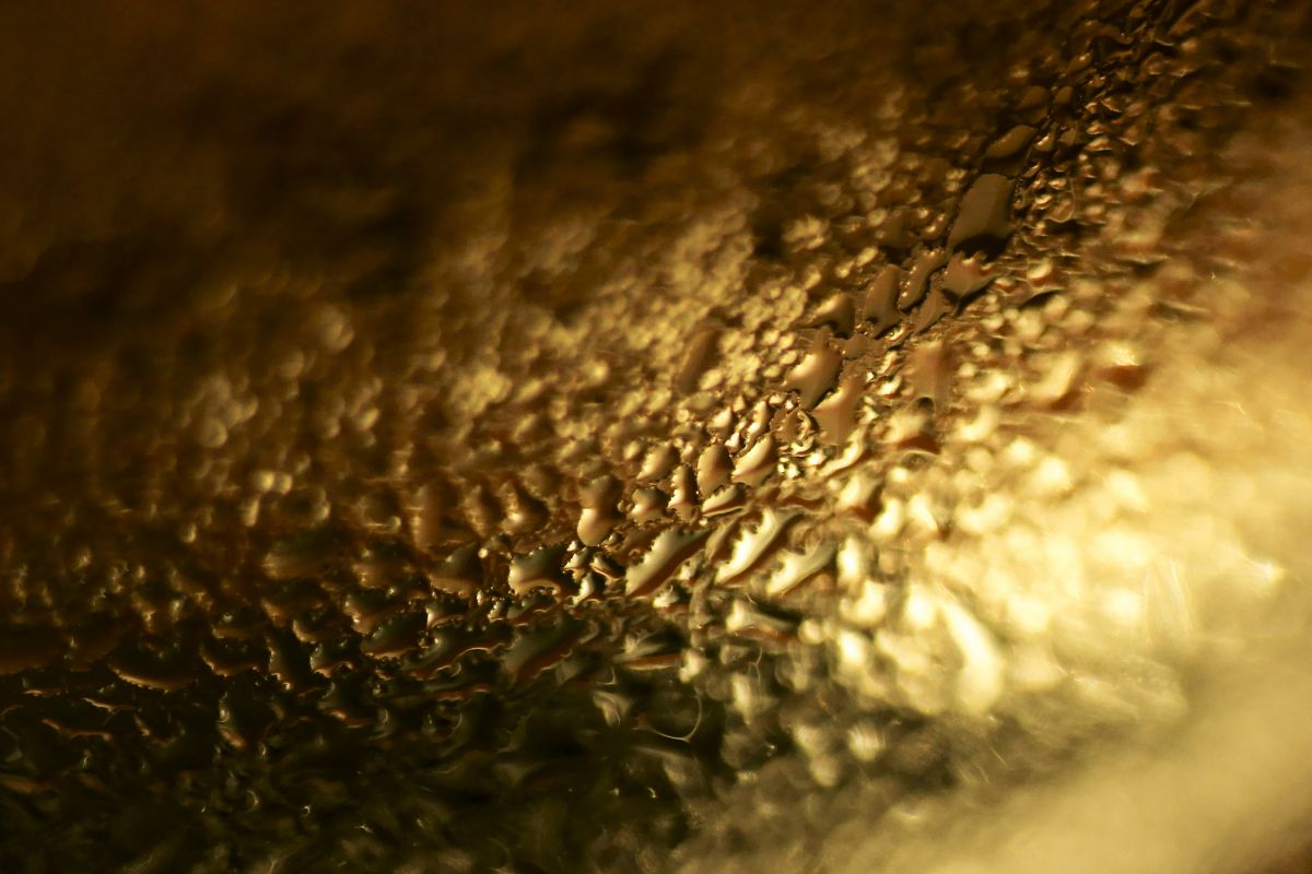 Melting Gold | GANREF