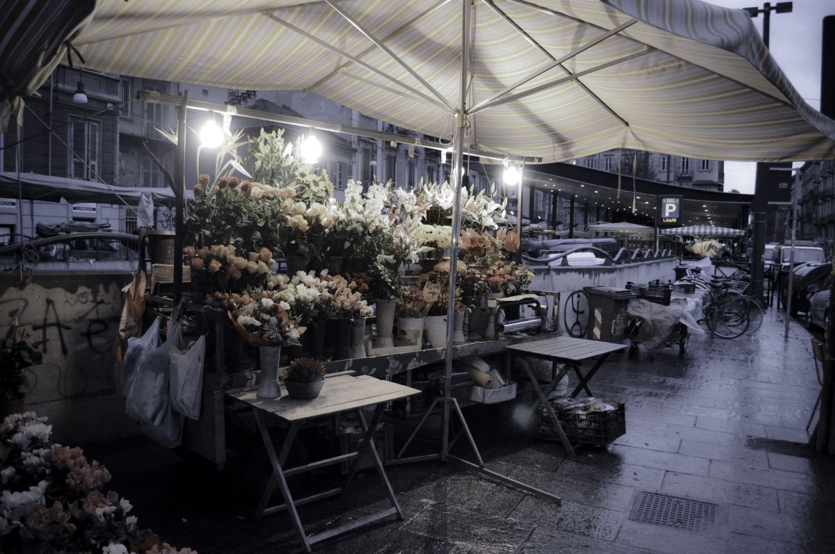 Flower Shop | GANREF