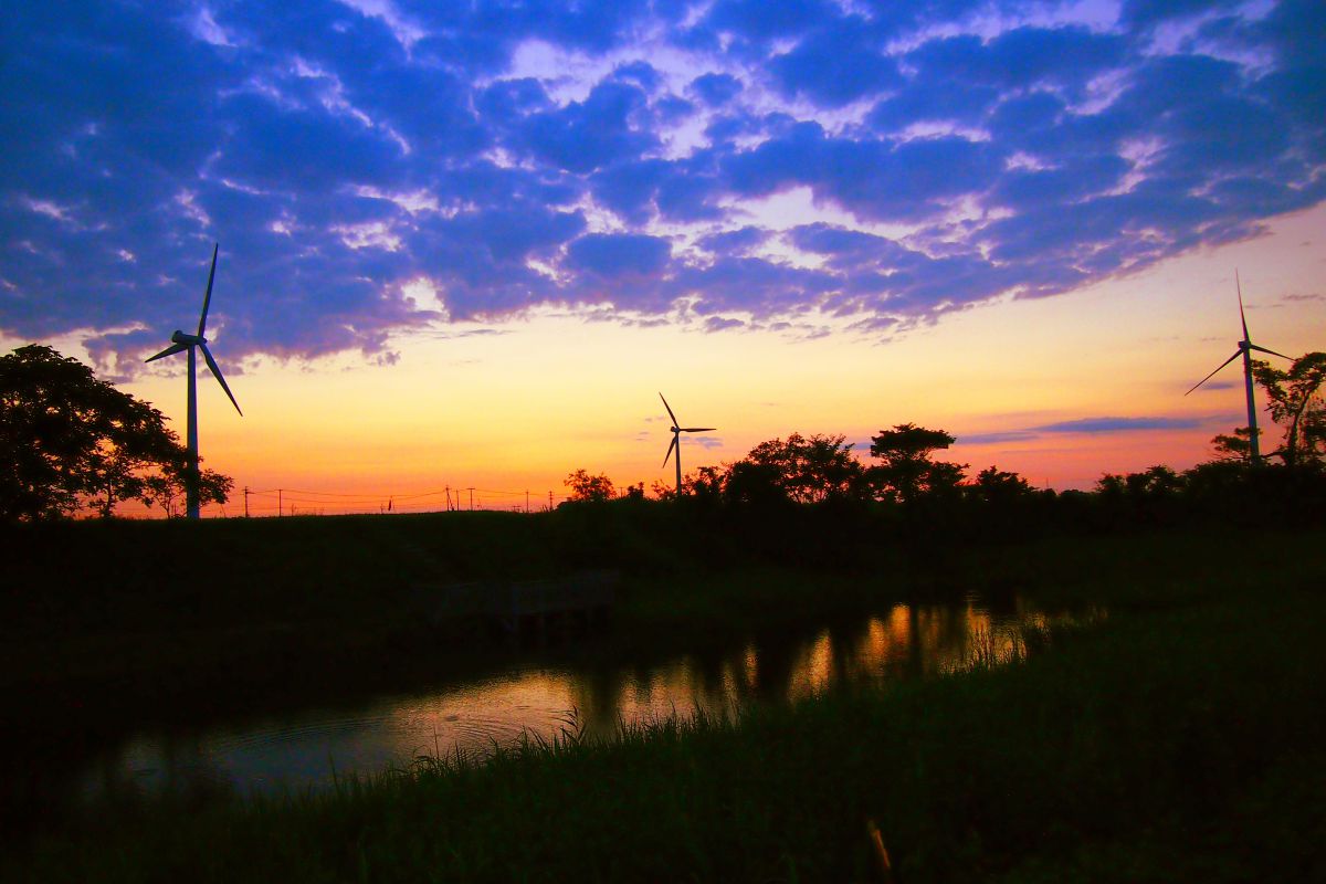 赤と青の静寂 | GANREF