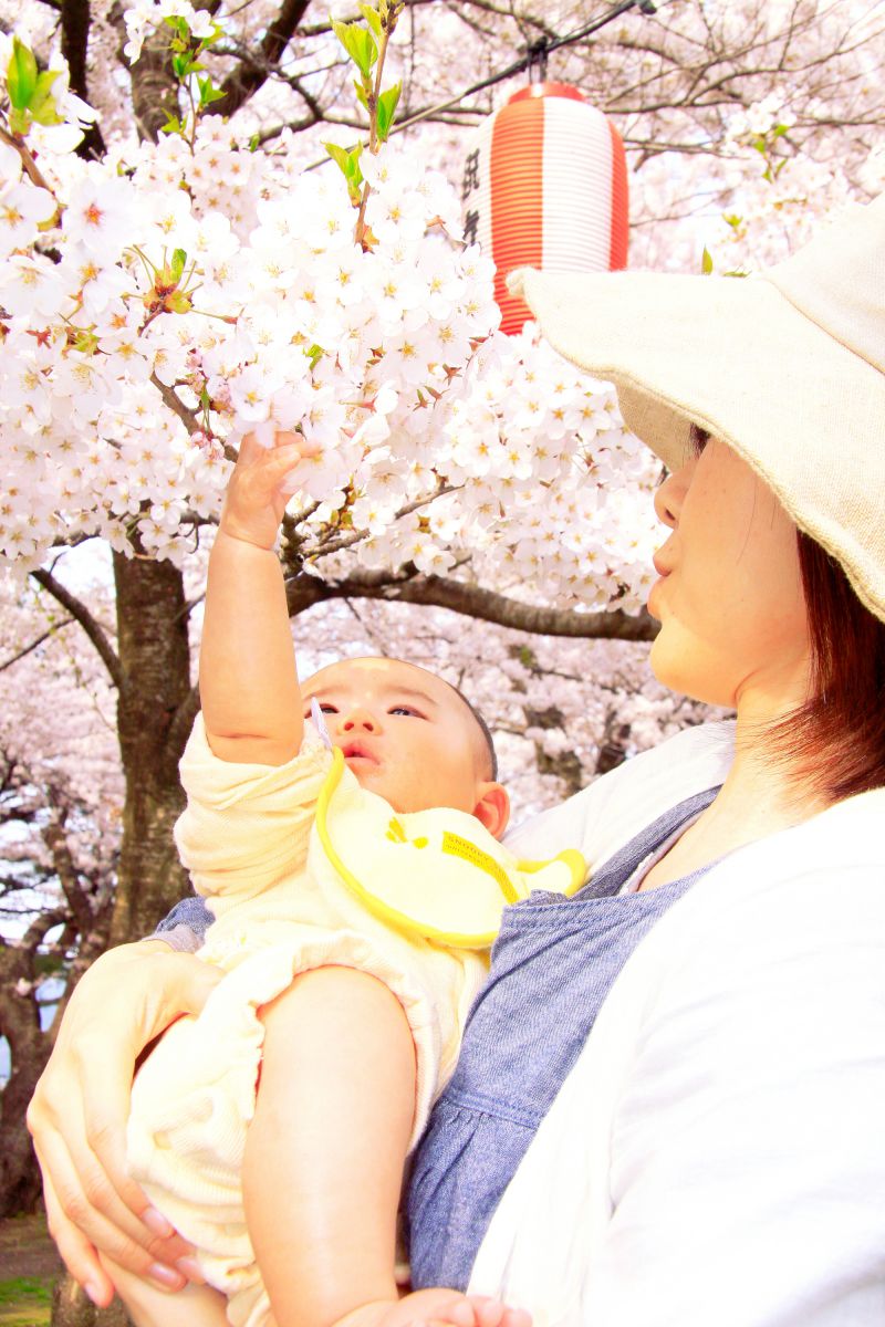 これって・・・なに？ | GANREF