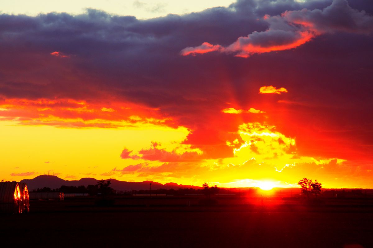 真紅 - Crimson Evening glow！ - | GANREF