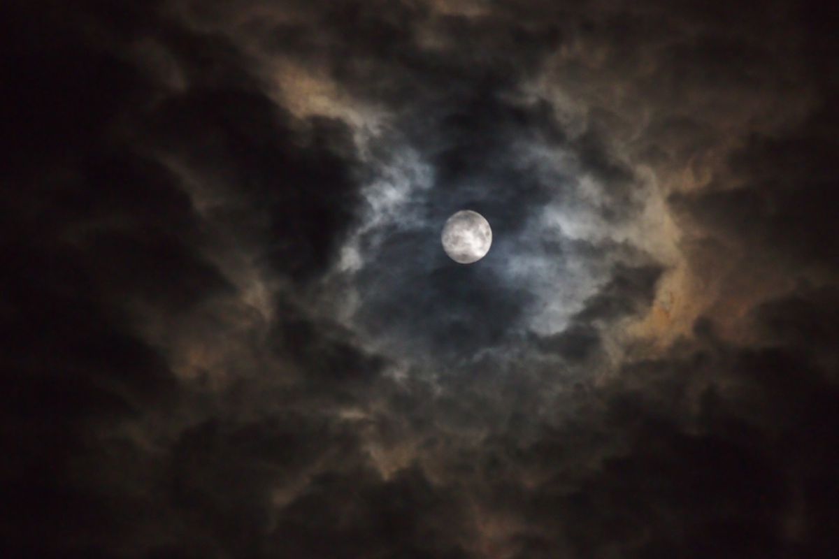 Dark Blue Moon Night | GANREF