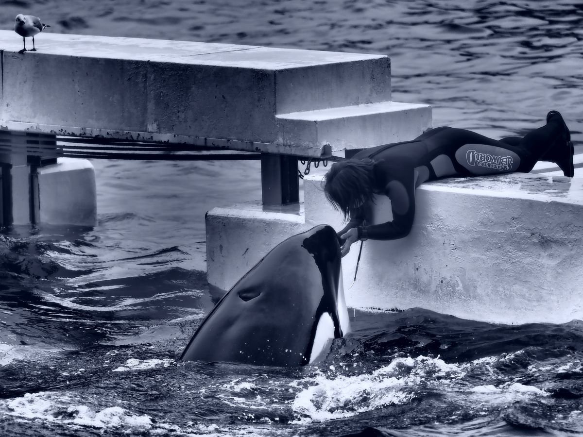 Deep affection | GANREF