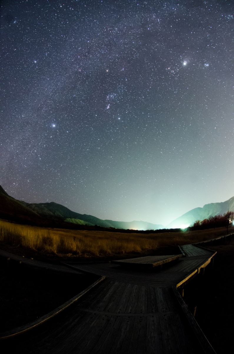 LOOKING BACK ～冬枯れの湿原～ | GANREF