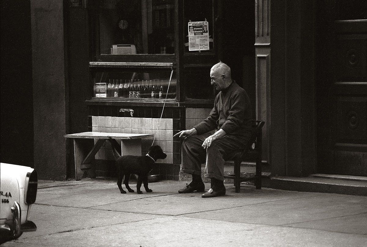 *the old man and dog | GANREF