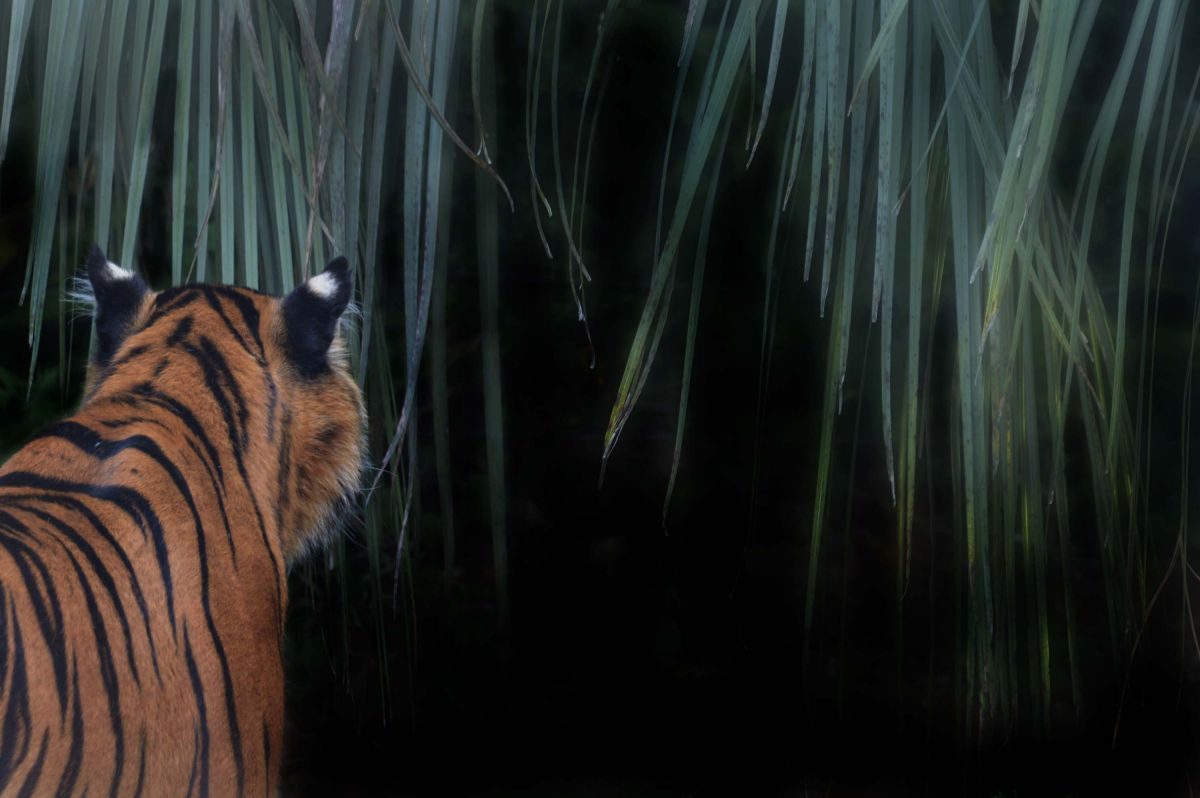 *Into the unknown | GANREF