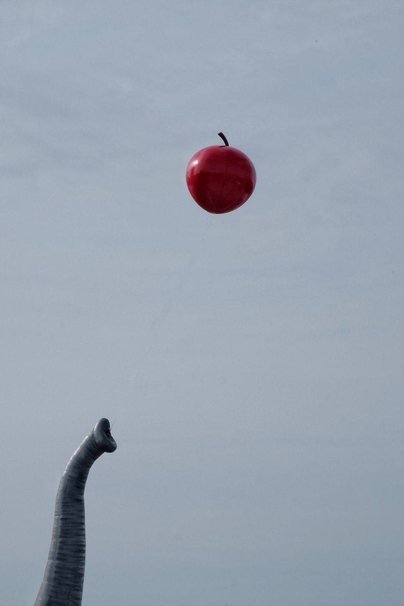 *Elephant threw the apple ! | GANREF