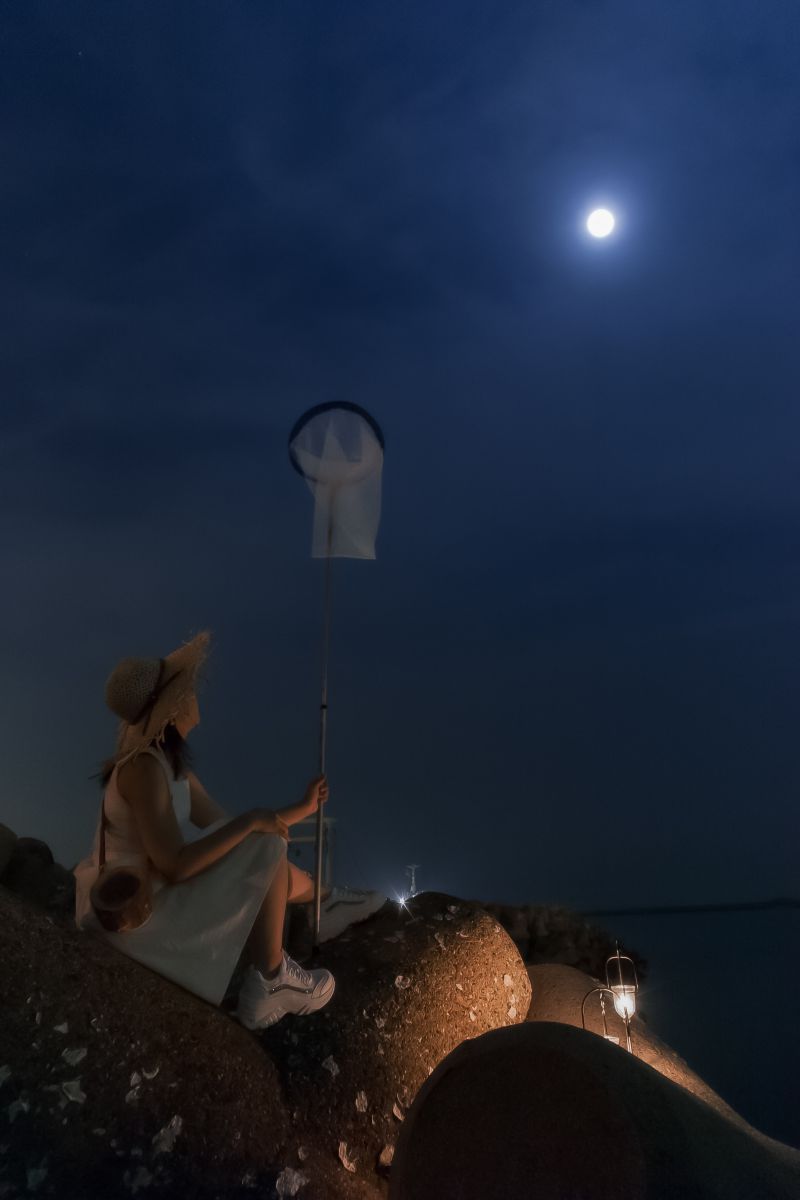 Moonlight Collecting | GANREF