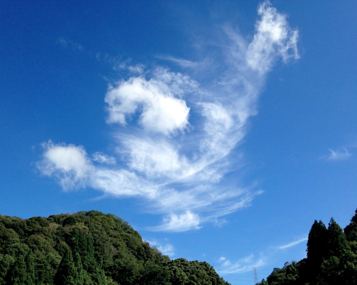 Dragon Like Cloud | GANREF