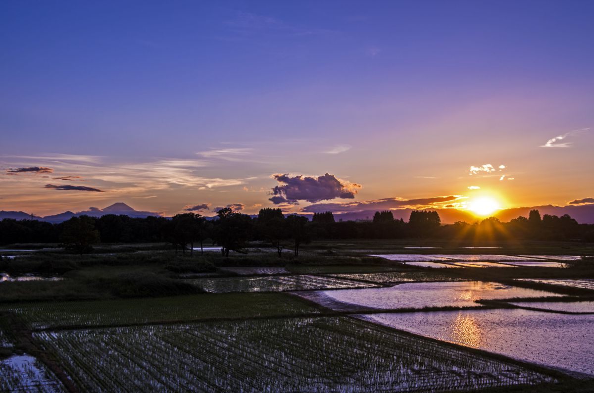 After the storm | GANREF