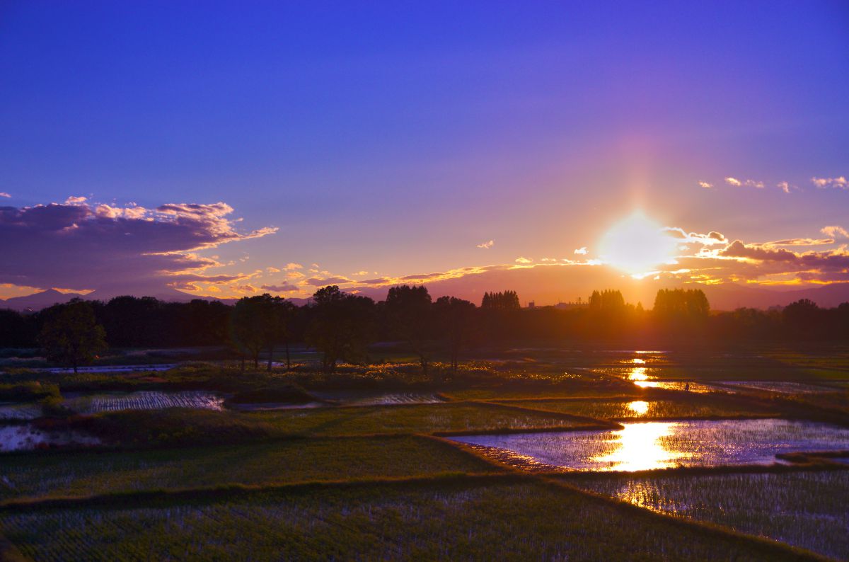 after a storm | GANREF