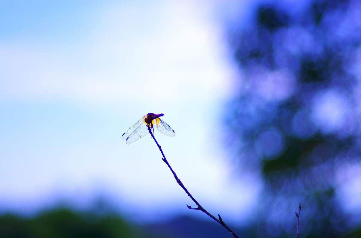 A short break | GANREF