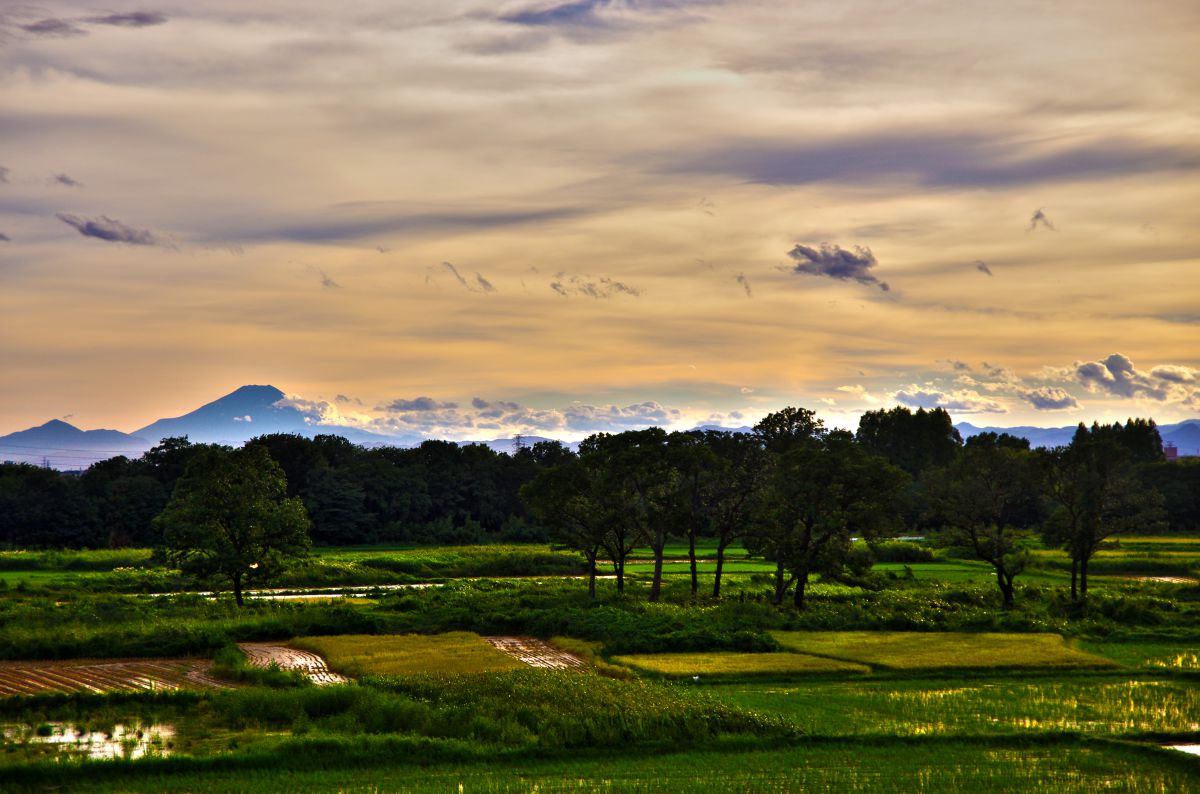 After a storm | GANREF