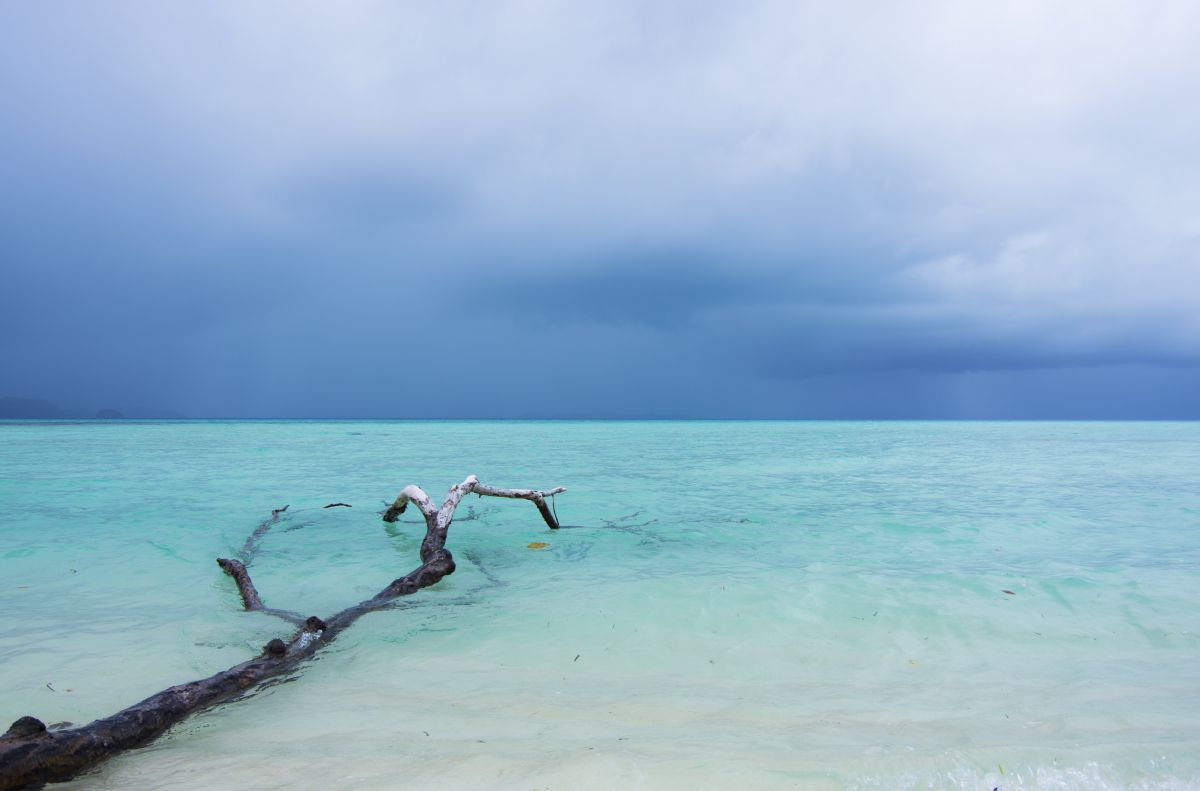 after the squall | GANREF