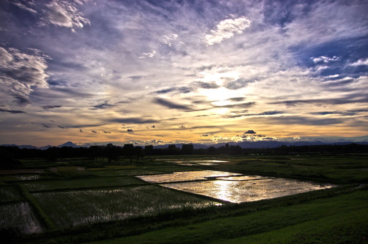 After a storm | GANREF