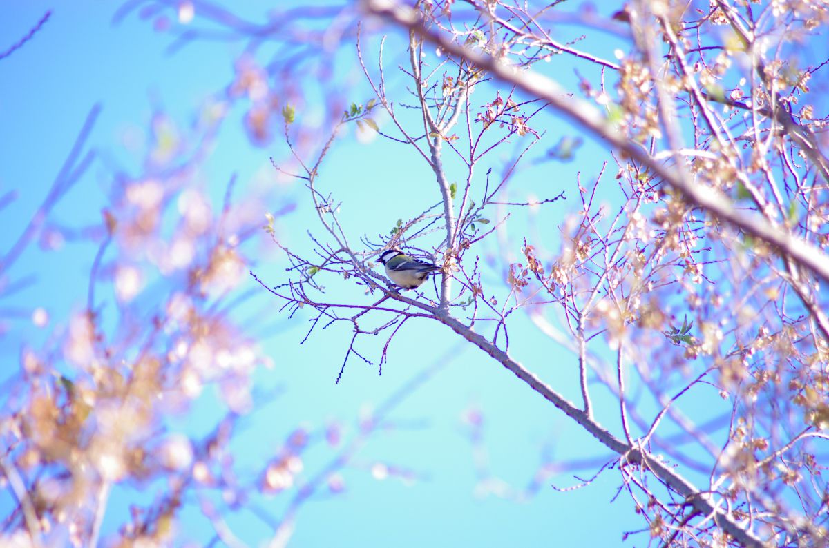 a fine autumn day | GANREF