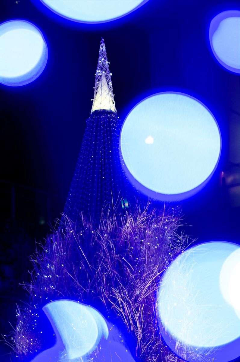 shiodome illumination | GANREF