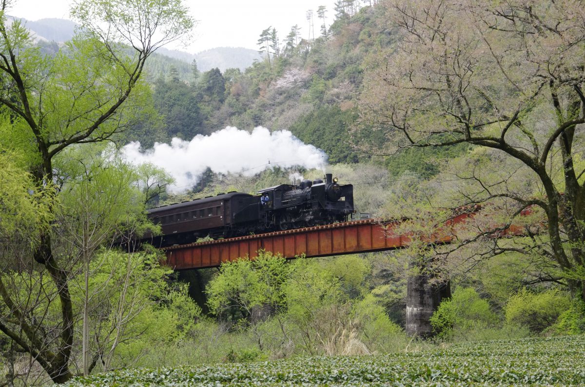 大井川鐵道 C56-44 笹間渡橋梁 | GANREF