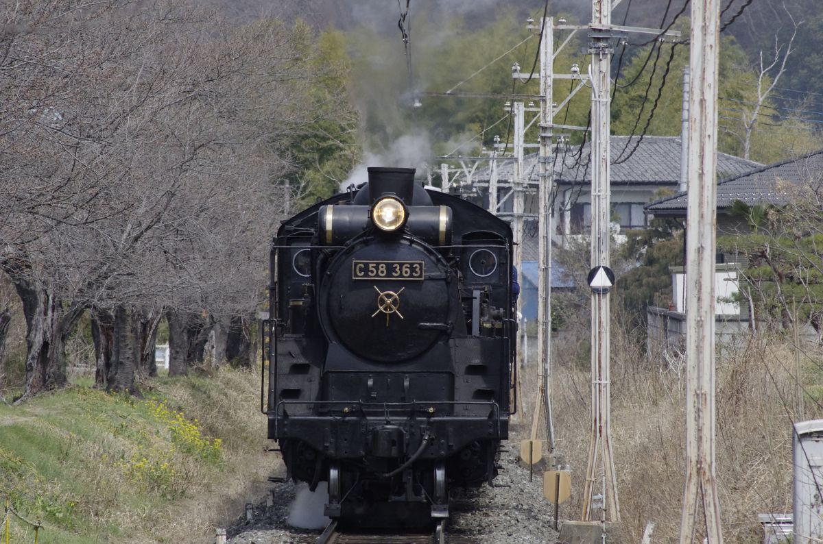 秩父鉄道 C58 パレオエクスプレス 上長瀞 | GANREF