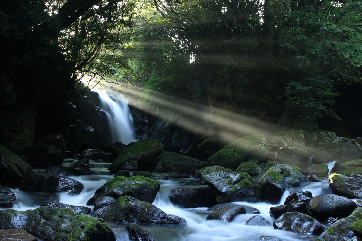 夫婦の光2 | GANREF