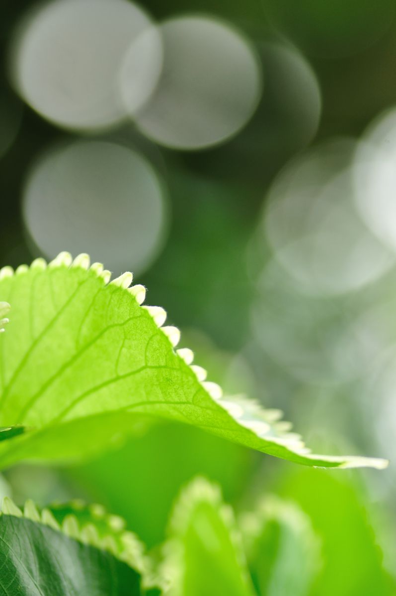 気持ち、弾む。 | GANREF