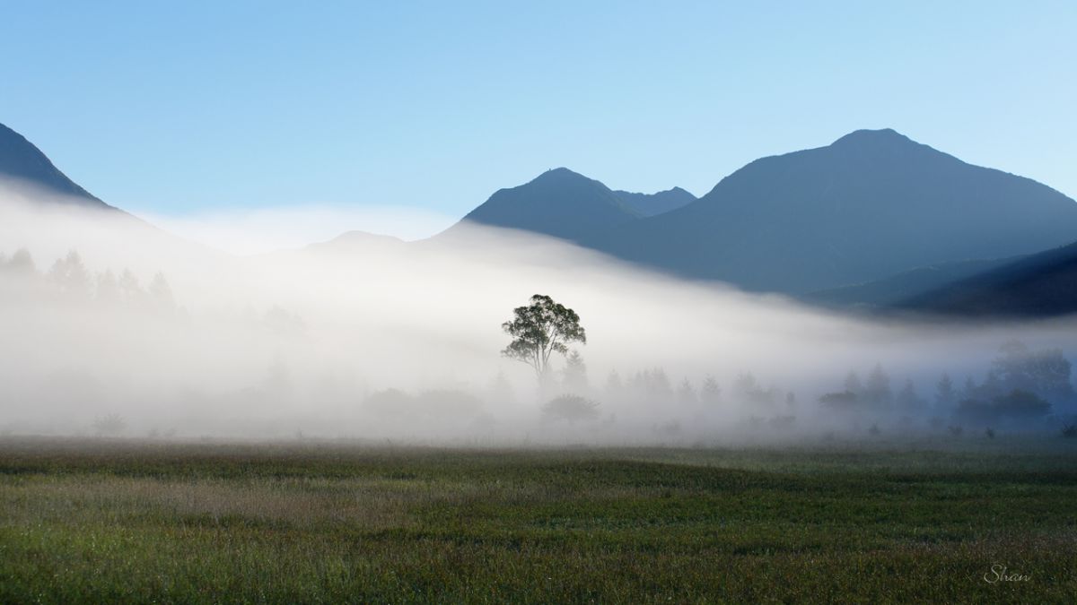 そのとき。 | GANREF