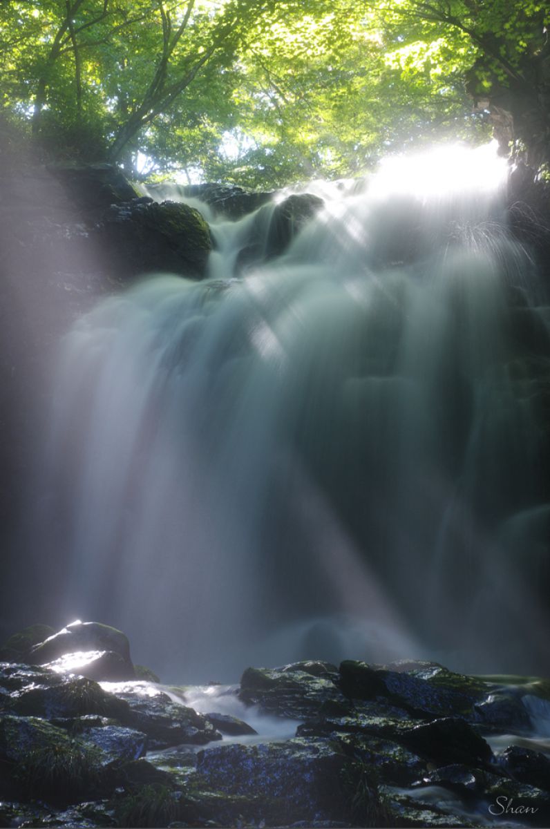 光に包まれて | GANREF