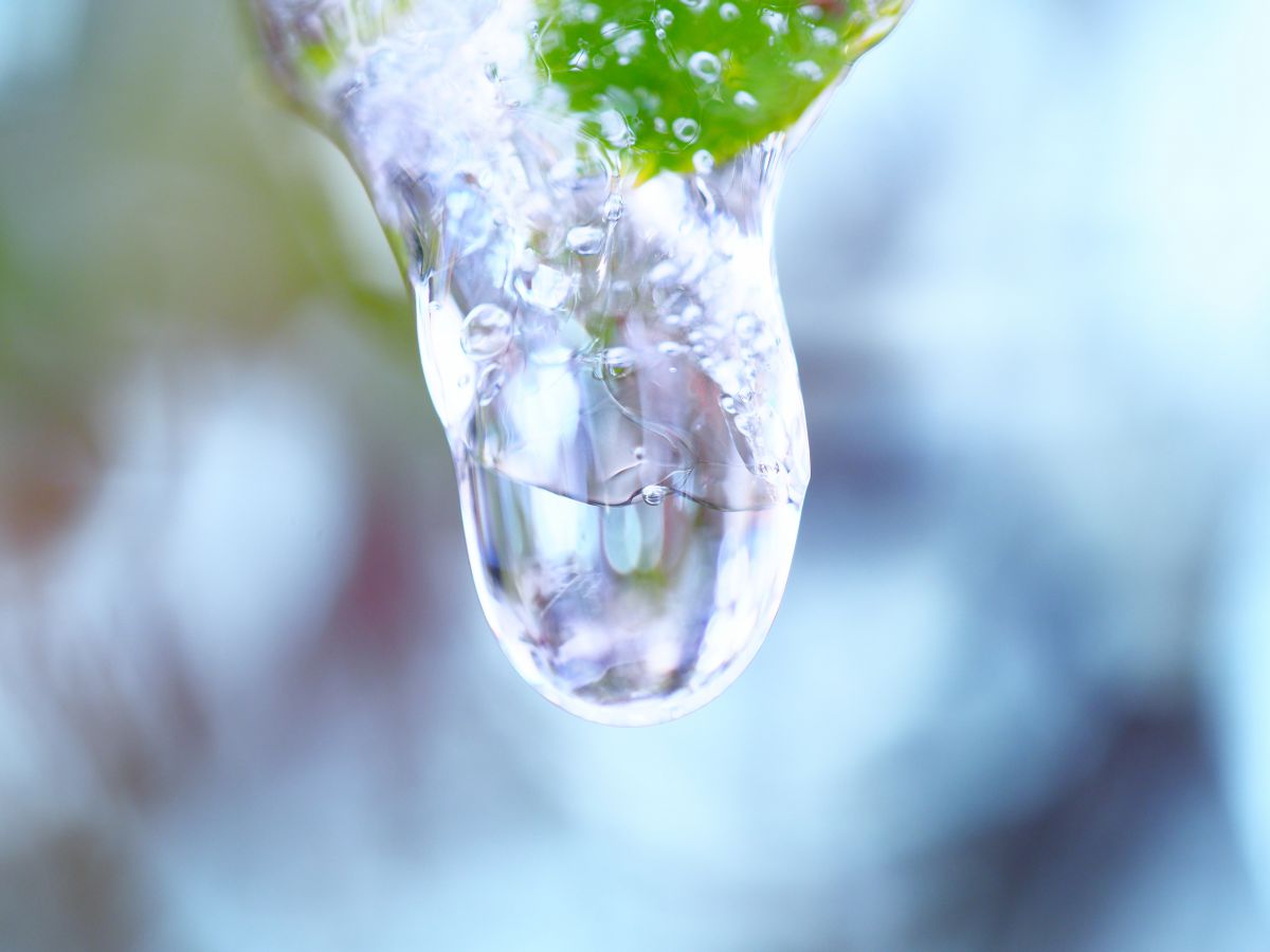 庭先のCrystal | GANREF