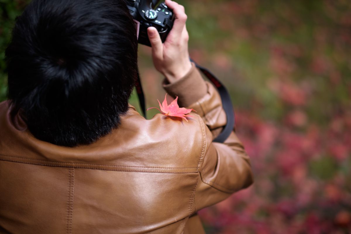 肩にひらり | GANREF