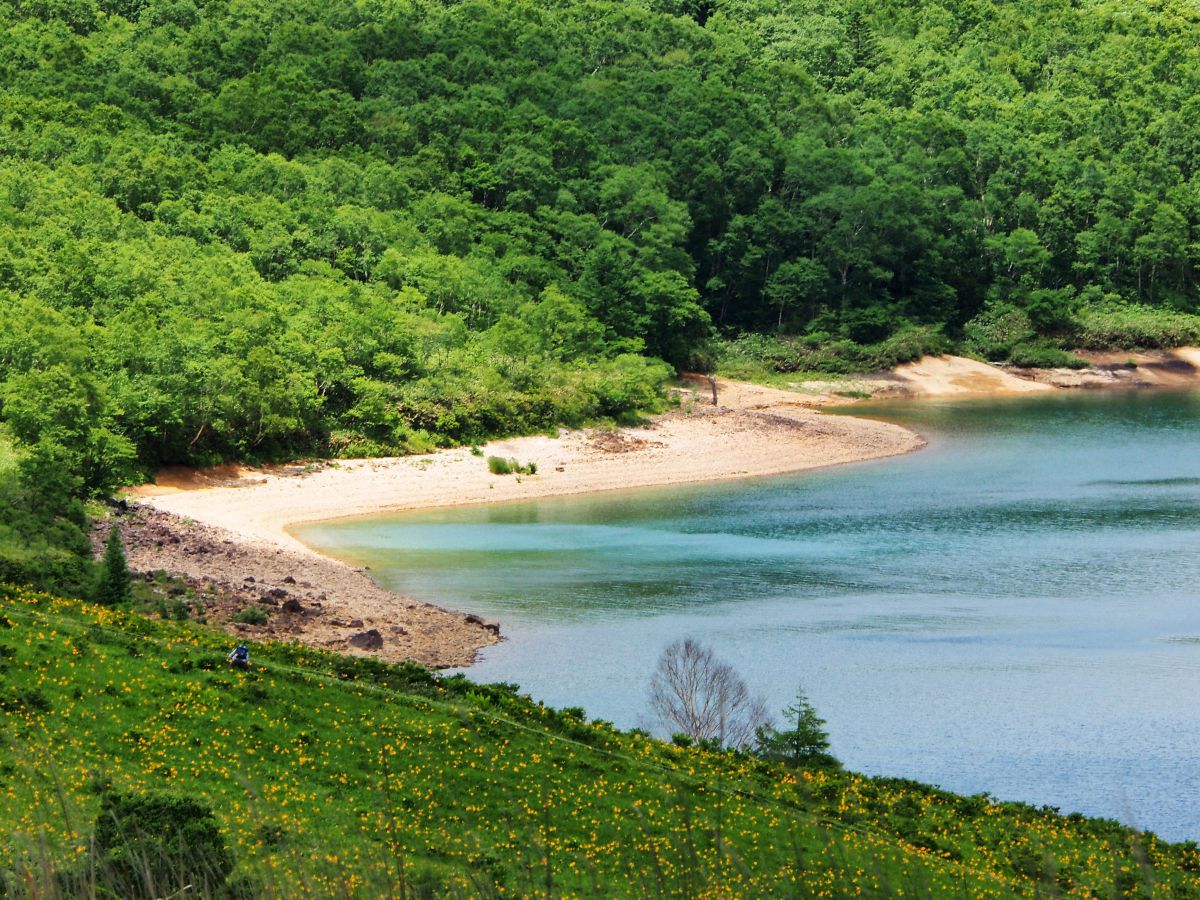 湖面の美 | GANREF