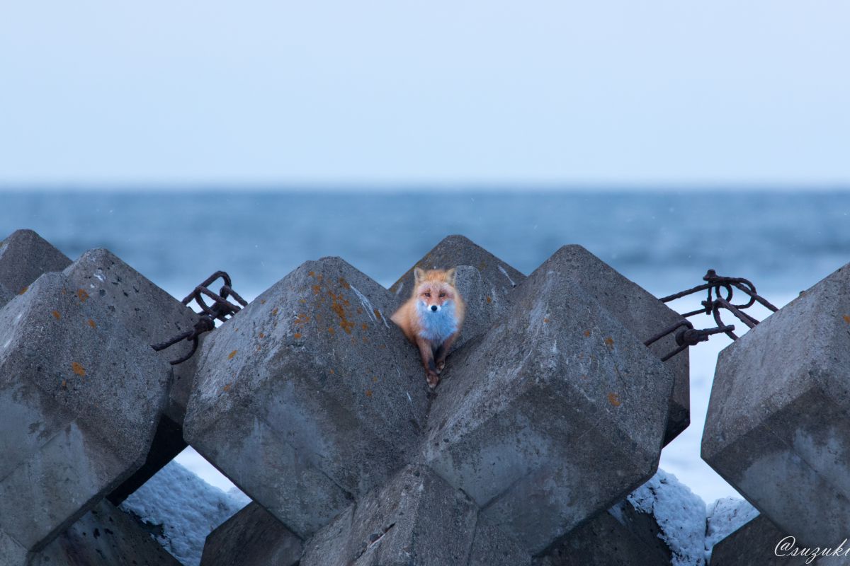 stand still for a while | GANREF