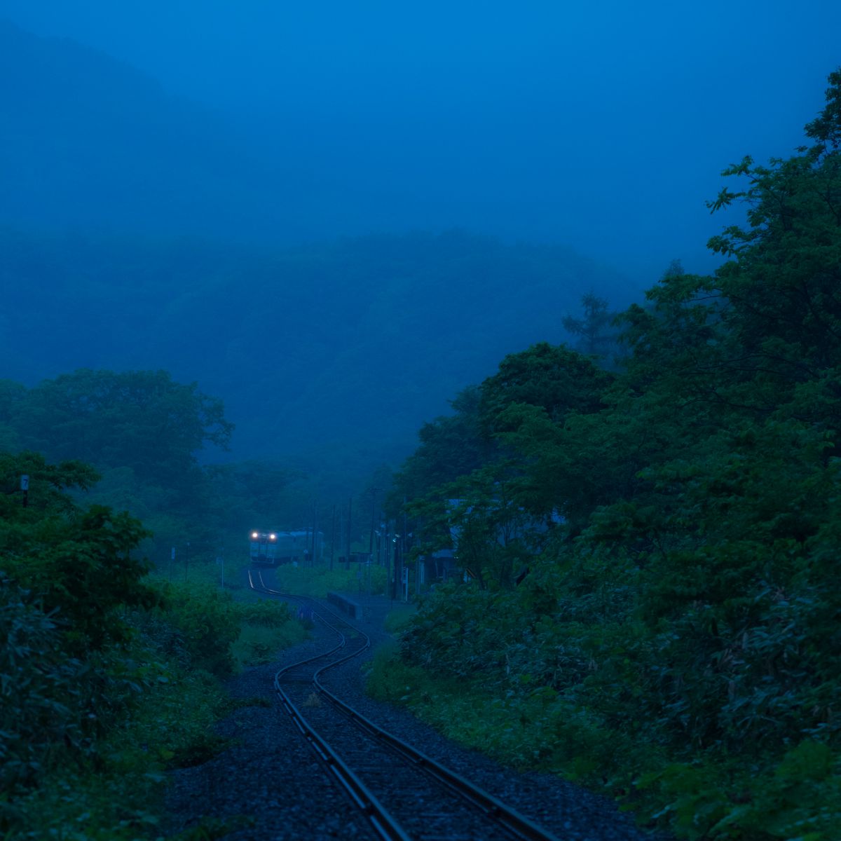 キリ、アメ、ヤマズ | GANREF