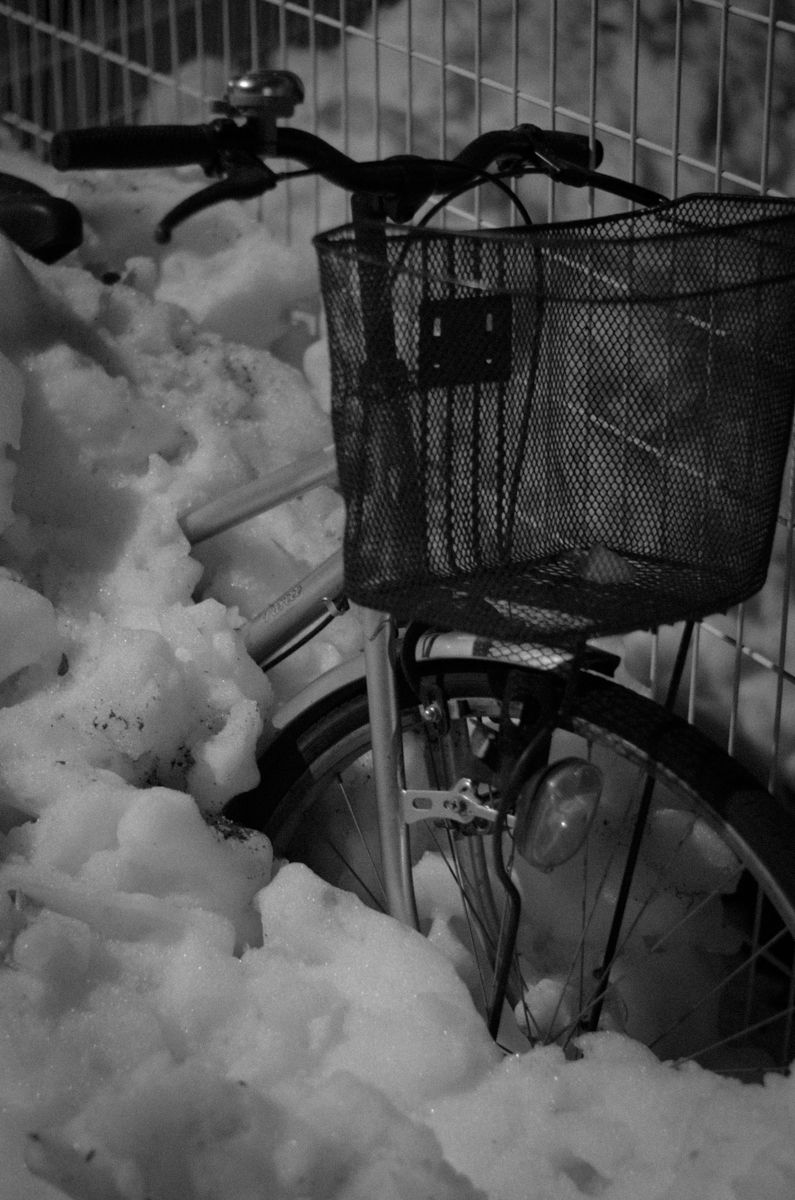 Snow Lock | GANREF