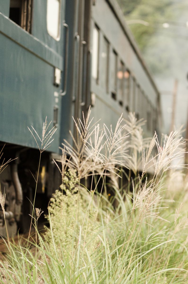 秋の気配 | GANREF