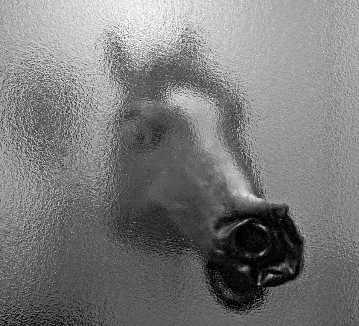 self portrait | GANREF