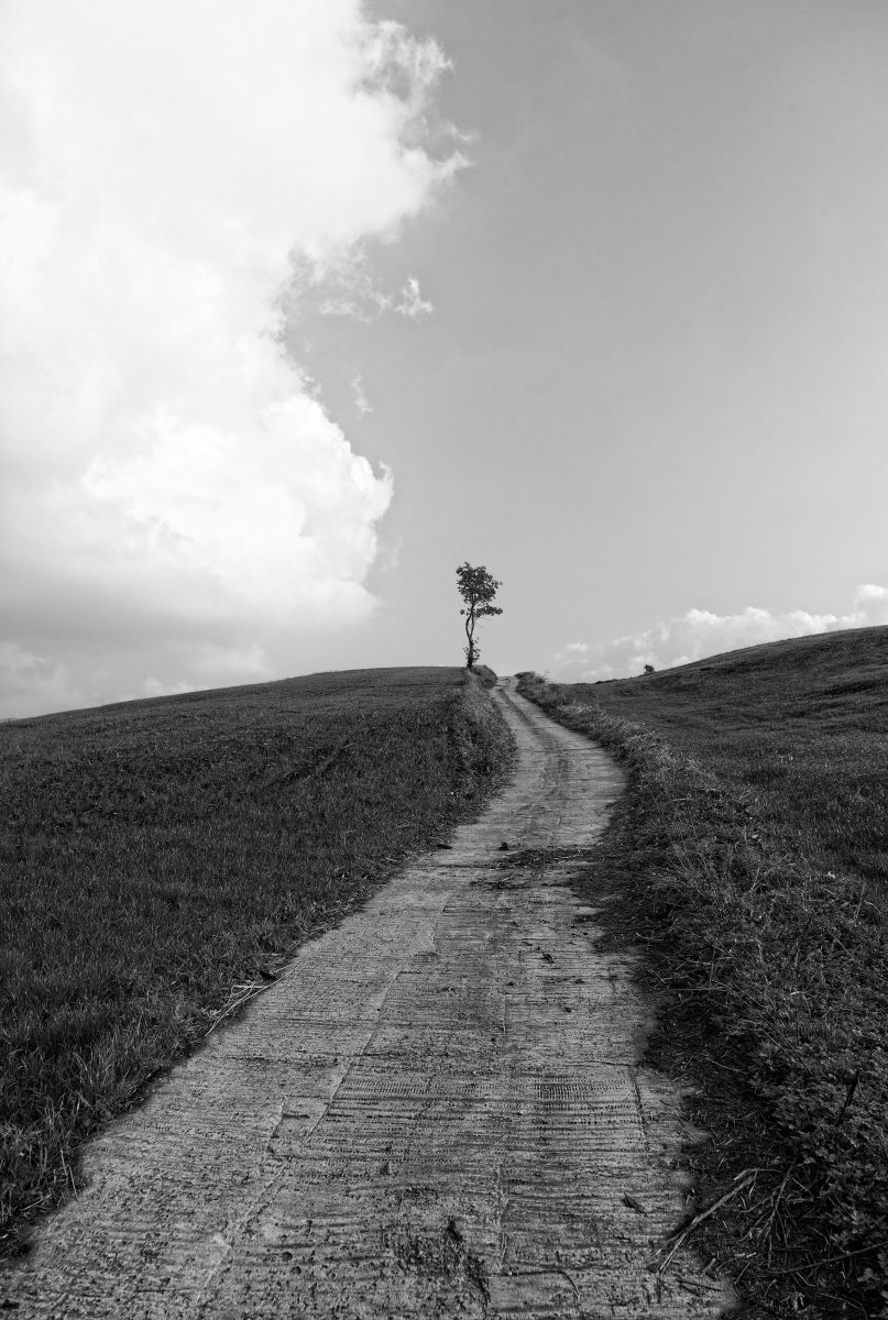 wandering life | GANREF