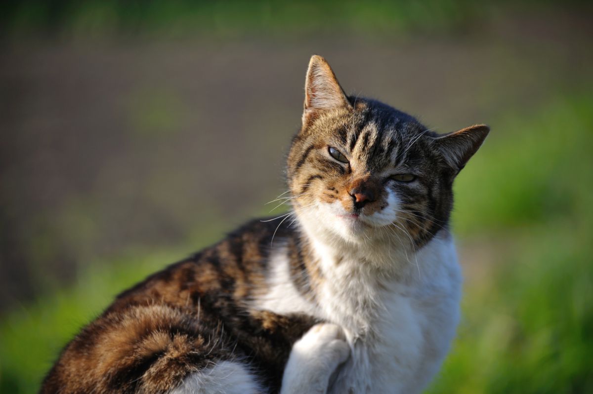 Spring has come ! | GANREF