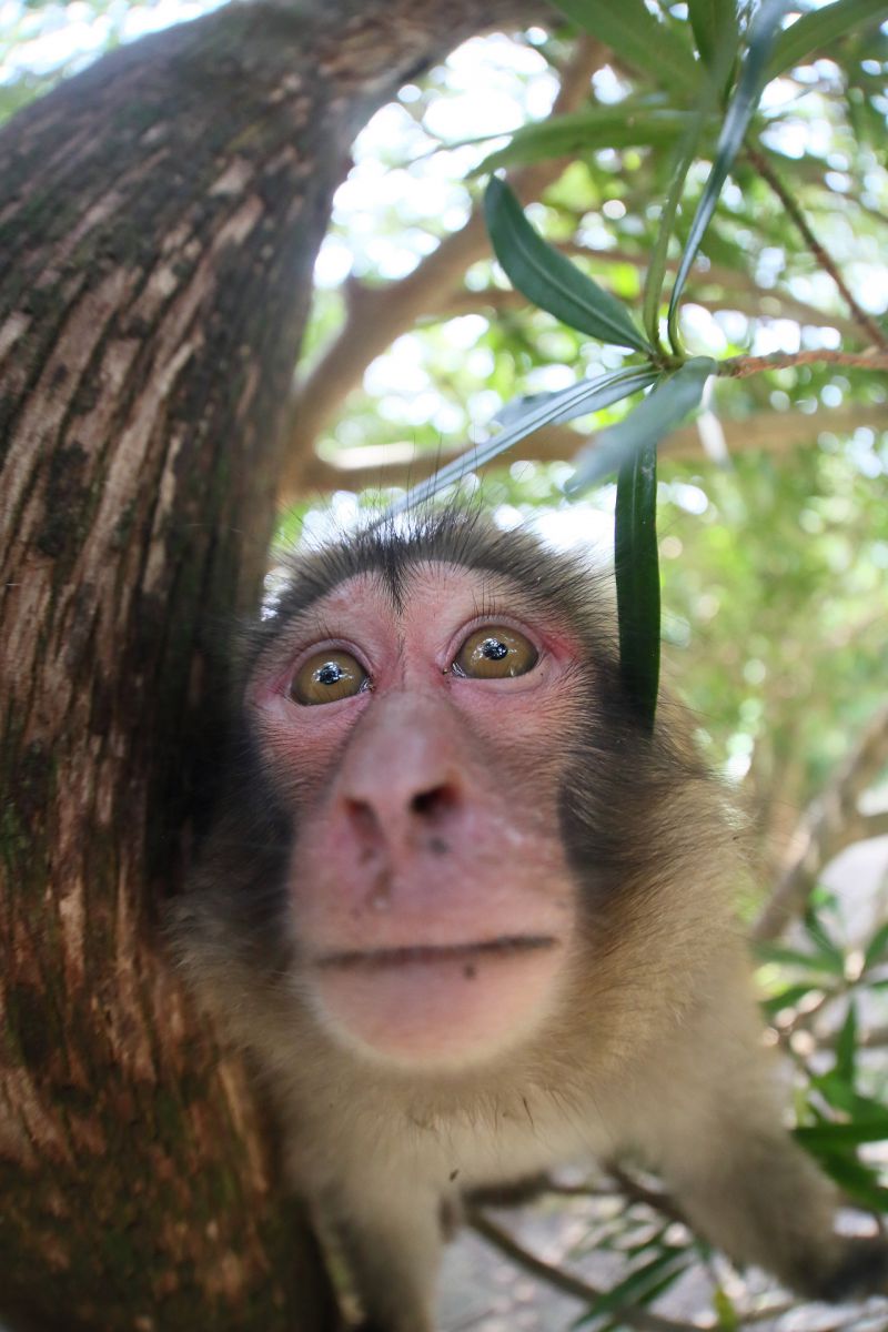 Fish Eye Child | GANREF