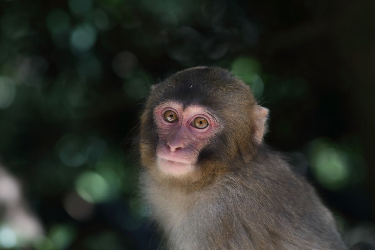 Child Portrait | GANREF