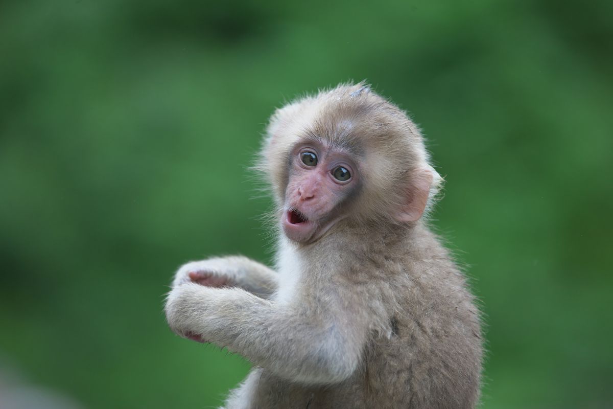 Do you have anything to talk to me？ | GANREF