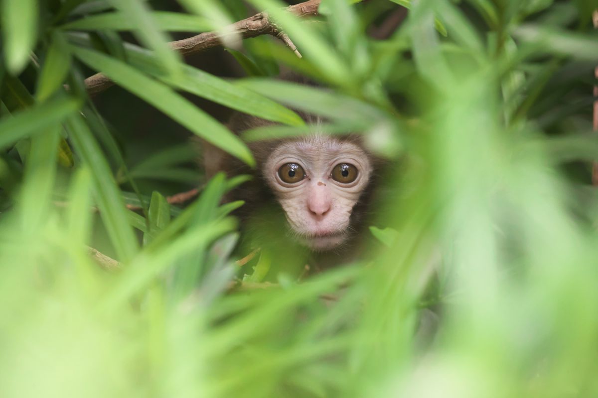 Hide and Seek | GANREF