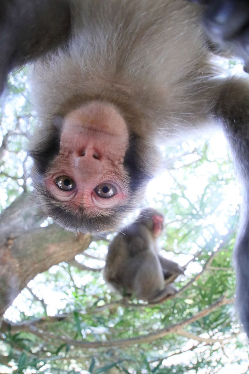 Fish Eyeで遊ぼう | GANREF