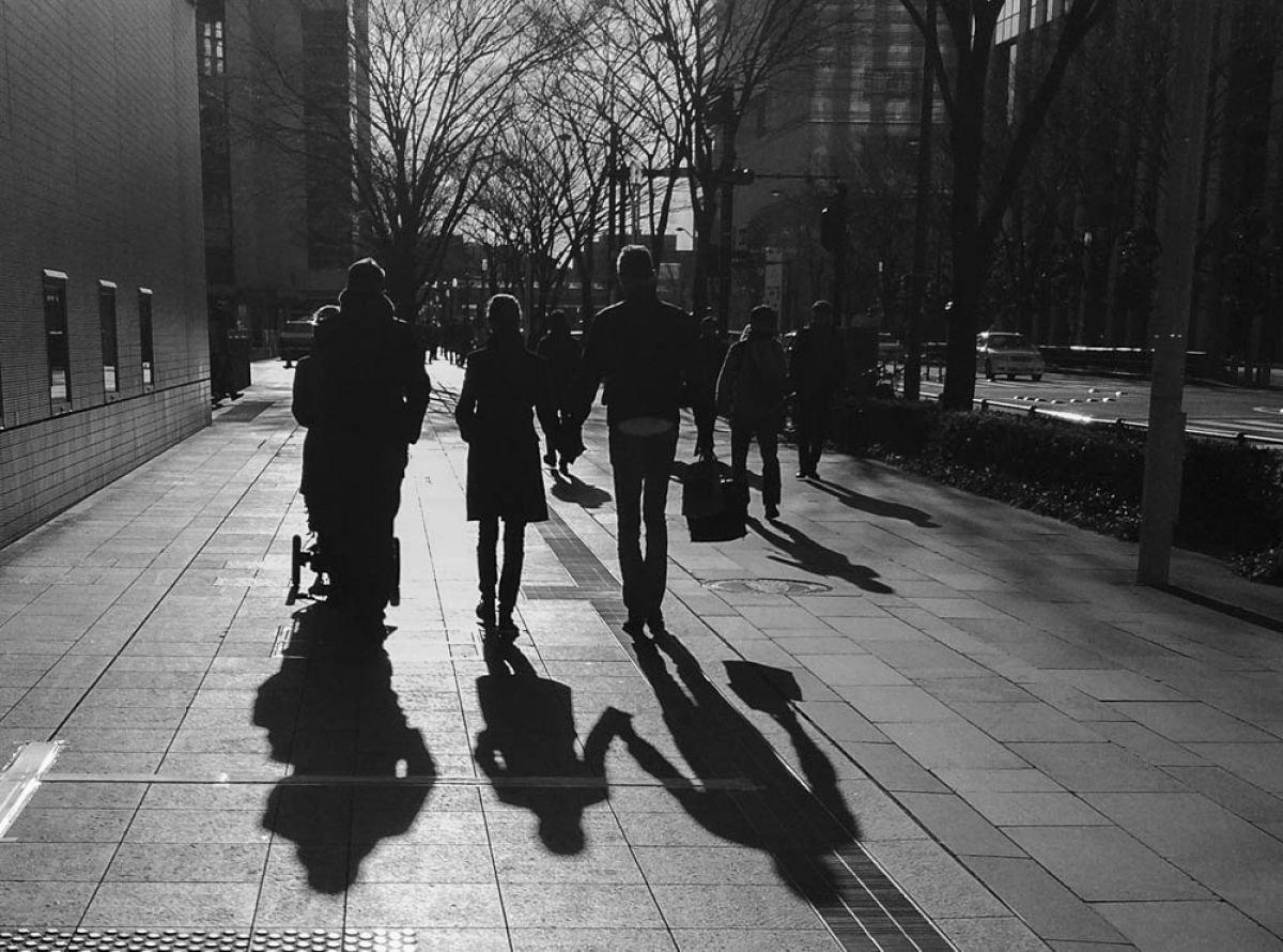 Dramatic Shadows | GANREF