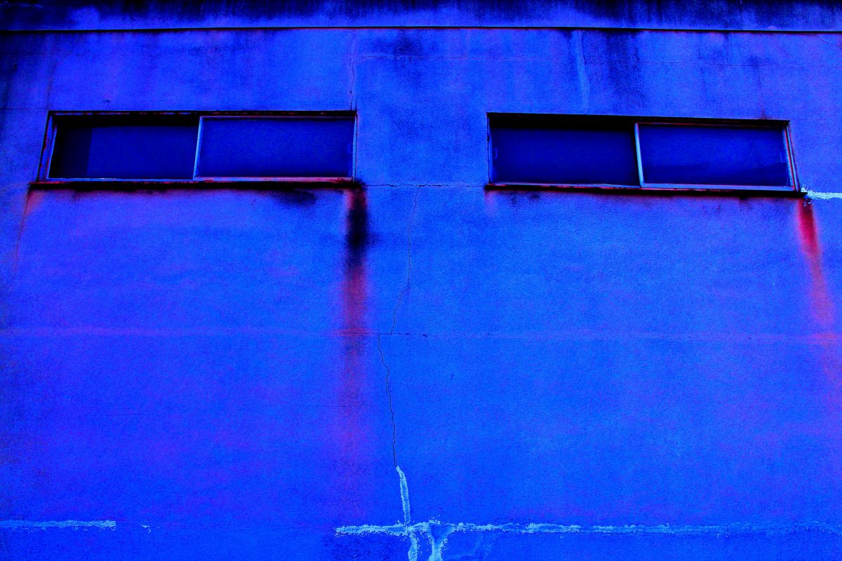 The window (Tear Version) | GANREF