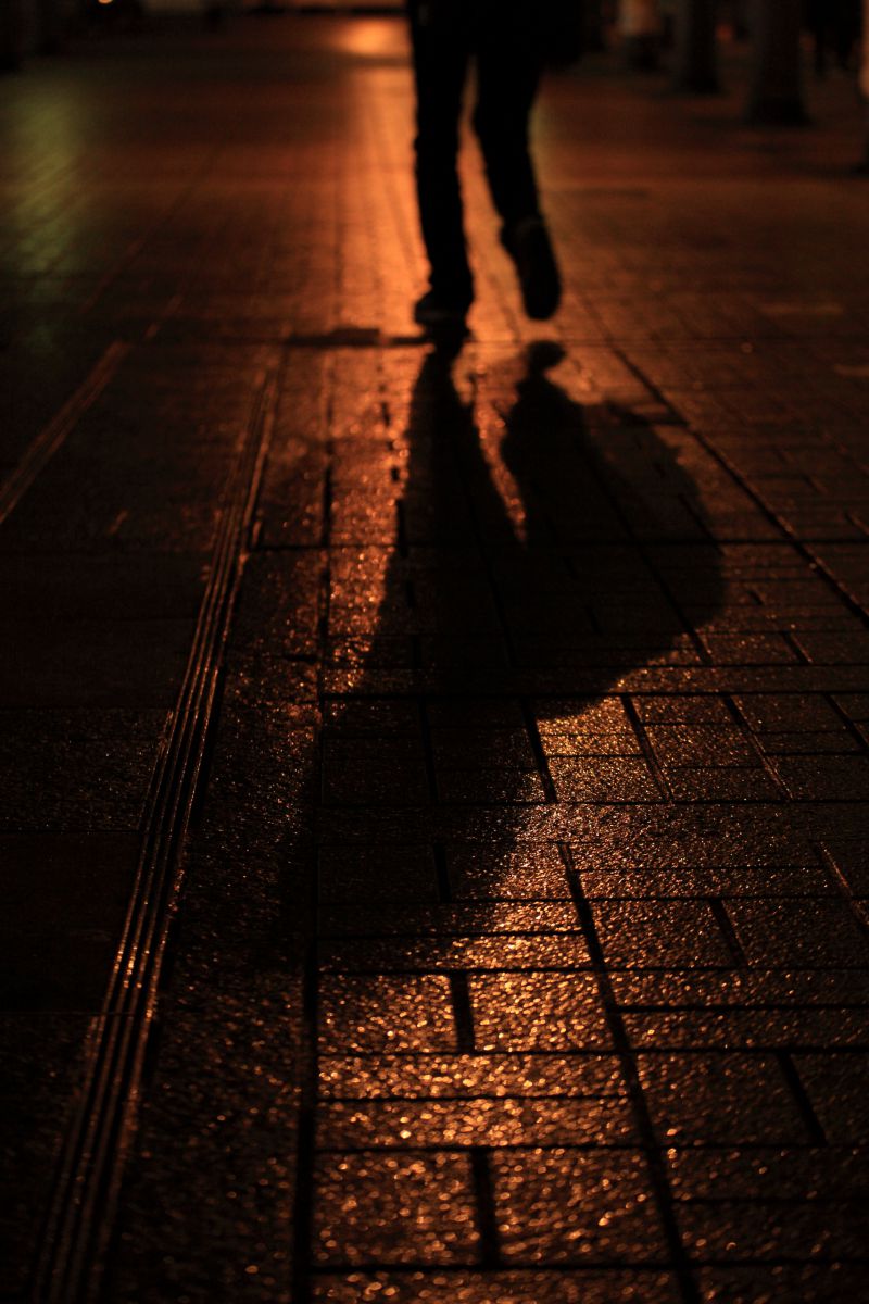 The Stranger | GANREF