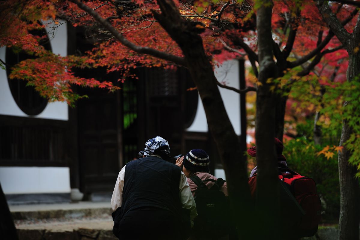 上手く撮れるかな | GANREF