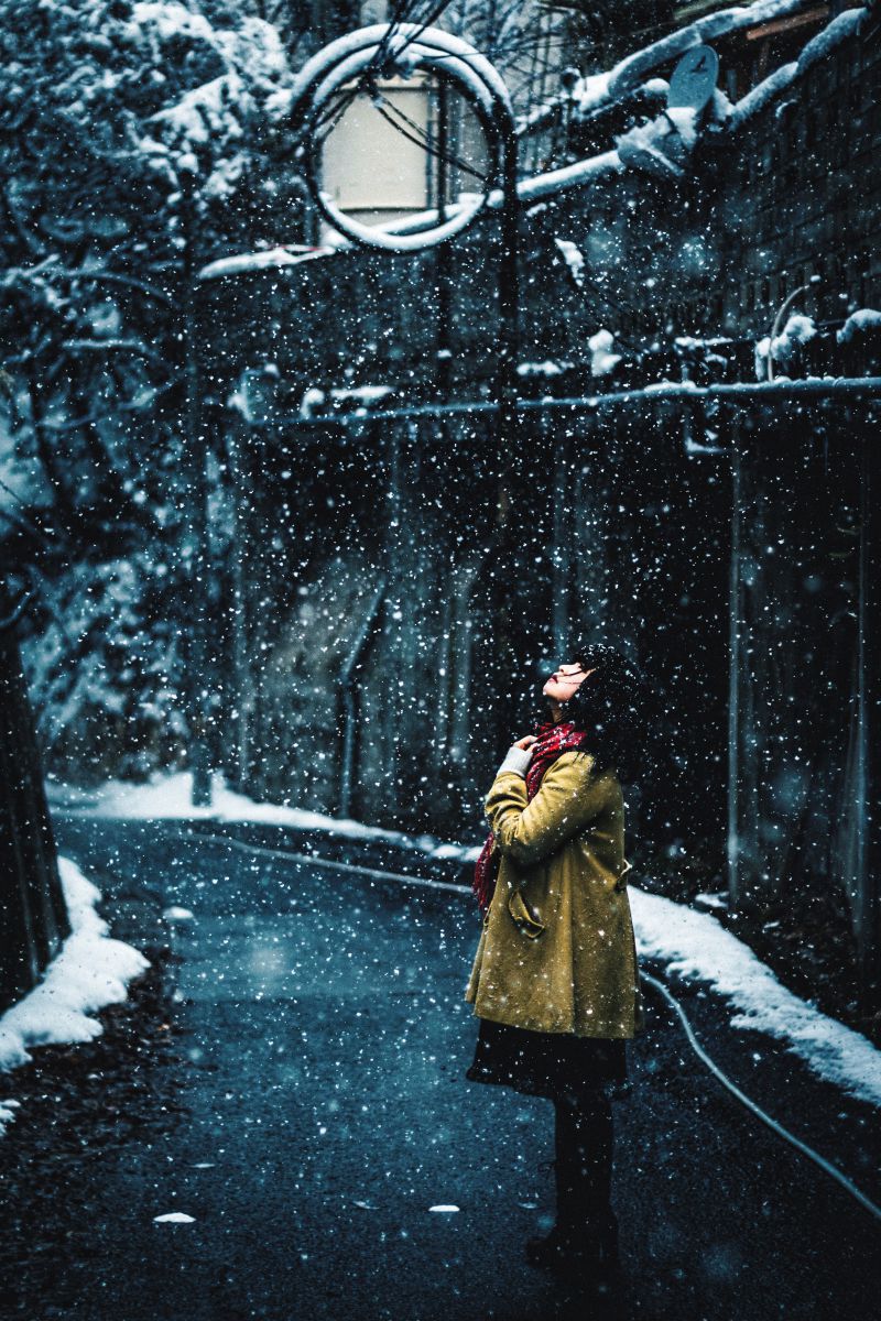 Silent Snow | GANREF